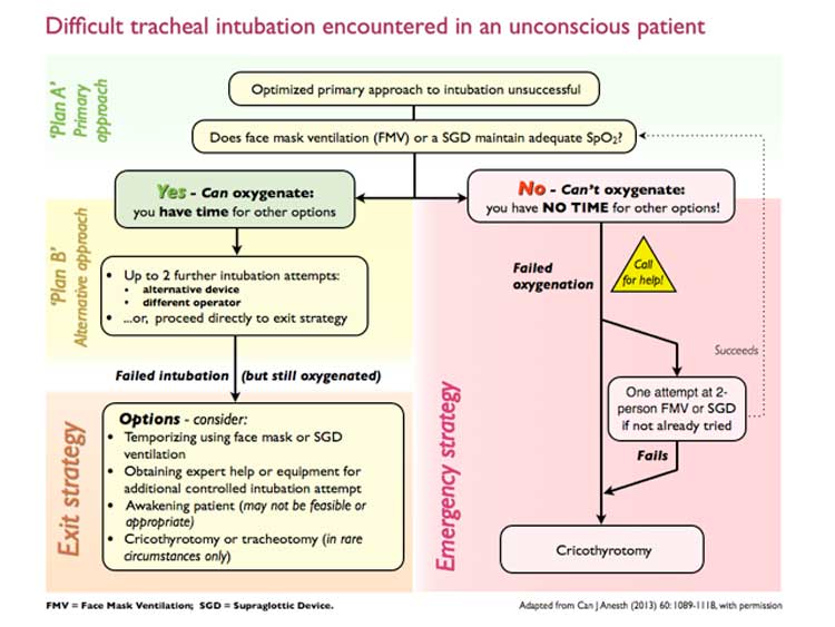 EMCrit 142 - Airway Things I Learned from George Kovacs at the NYC ...