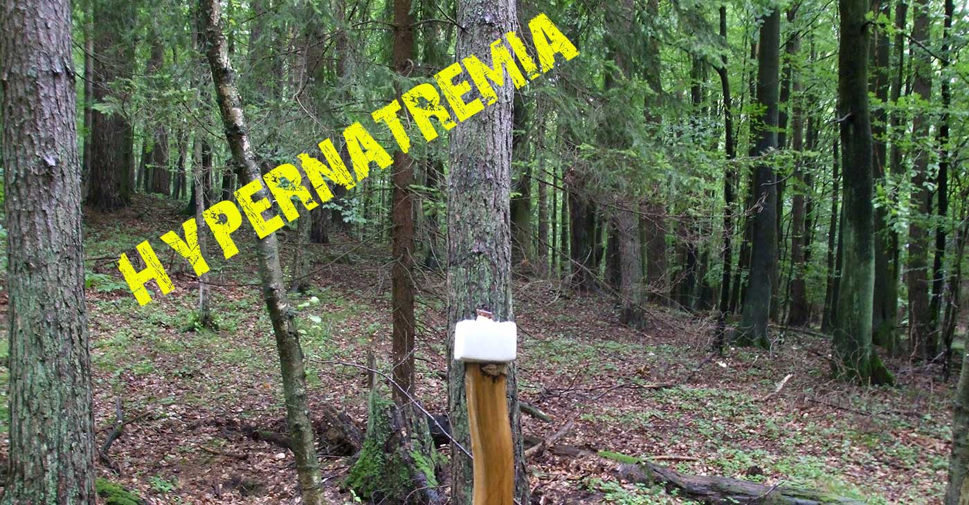 EMCrit 187 - Hypernatremia (Uggggh!)