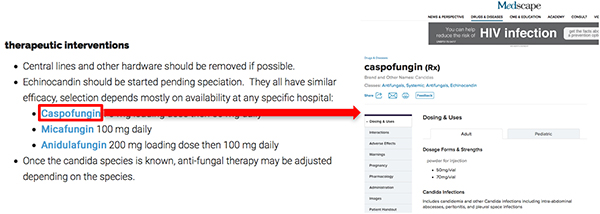 Announcement: Launching the Internet Book of Critical Care (IBCC)