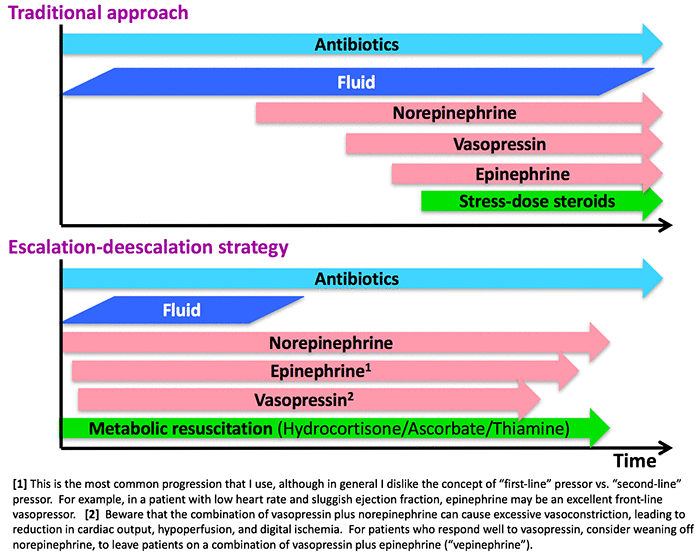 PulmCrit- Metabolic sepsis resuscitation: Strike hard, strike fast, no ...
