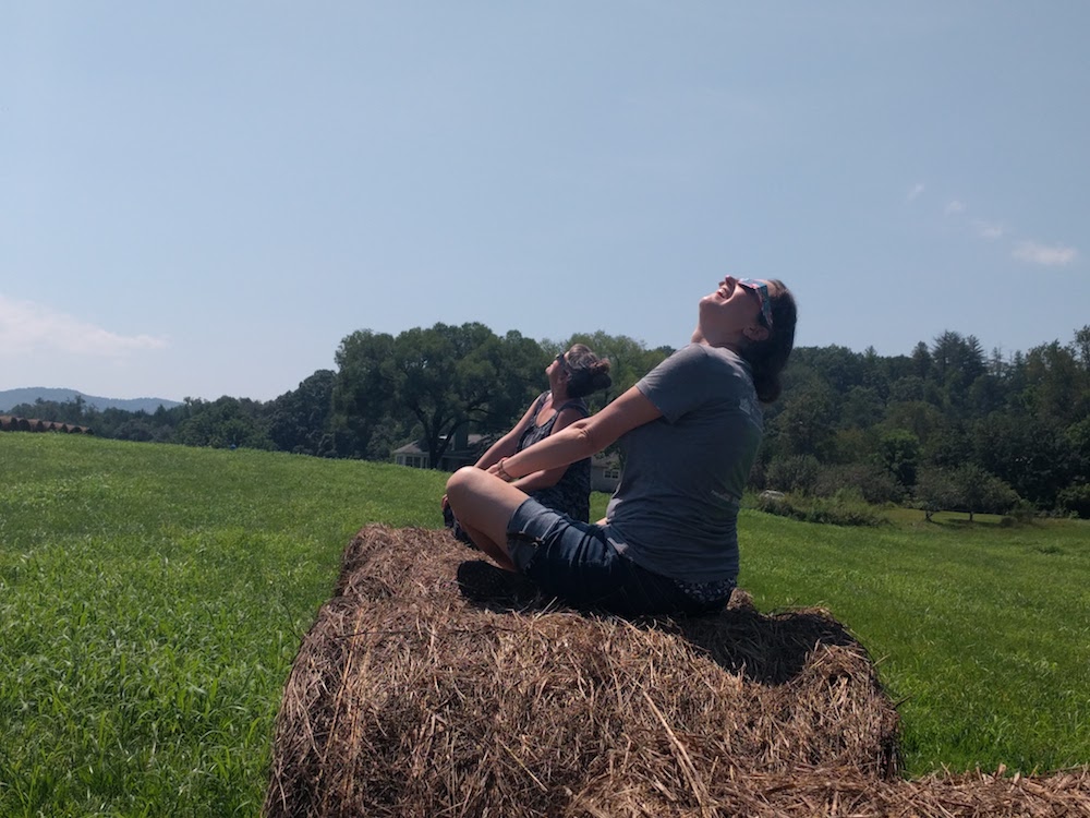 August | 2017 | Emily Buehler