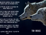 Two Wolves