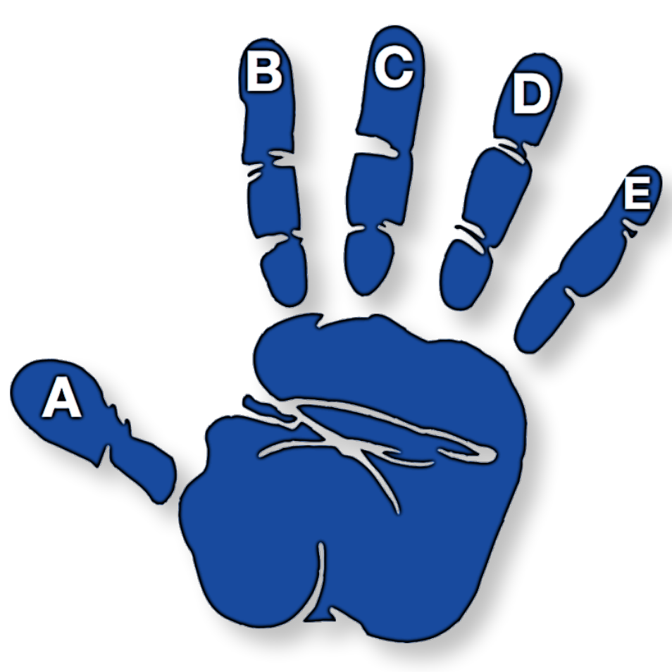 ABCDE-Hand | Emily Romrell