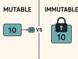Mutable Vs Immutable In Python Emitechlogic