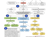 Penetrating Abdominal Trauma An Evidence Based Algorithm Decreases