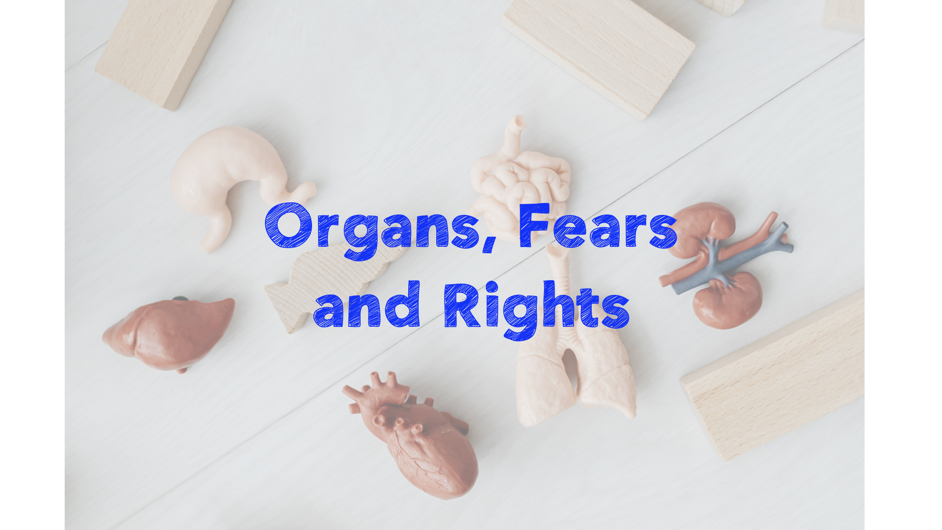 Short Stack 27 Organs, Fears and Right - EM Over Easy