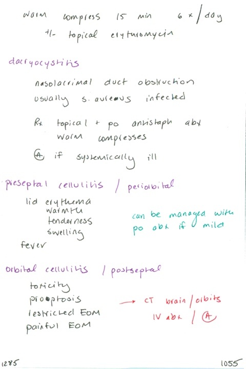 1285. Management of hordeolum and chalazion // Dacryocystitis pathophys ...