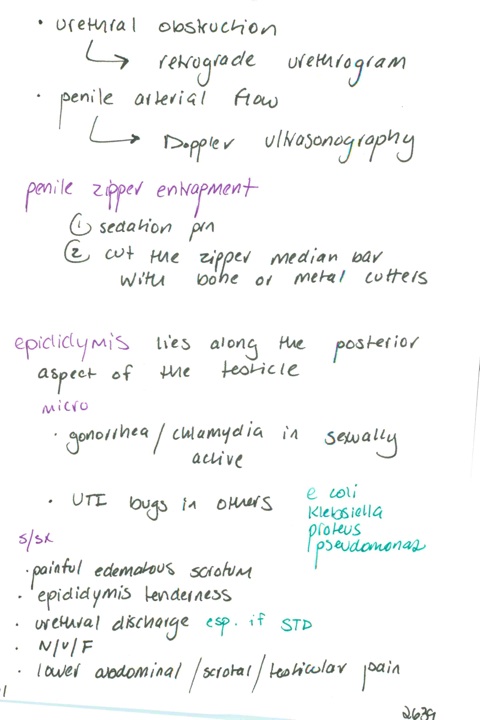 901. Key diagnoses to rule out in penile entrapment and tourniquet ...