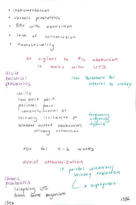 1343. More UTI RFs // Acute bacterial prostatitis s/sx, Rx, if ...