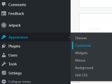Customizer Wordpress Support