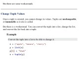 Python Tuples Session 11 Pdf Connect 4 Techs