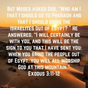 Diamond in the Rough Meaning and Devotion