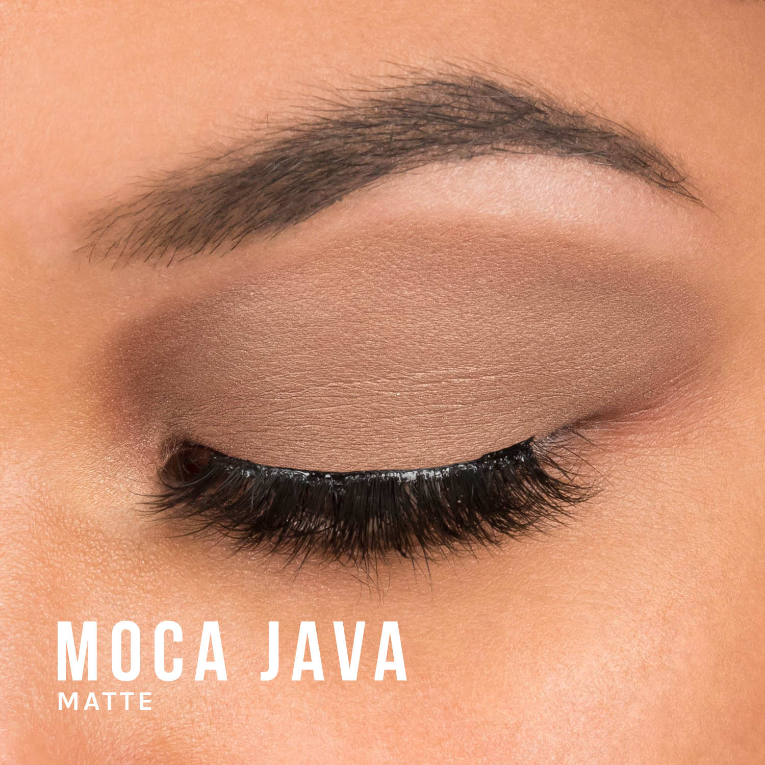 ShadowSense – Engineering Everlasting Beauty