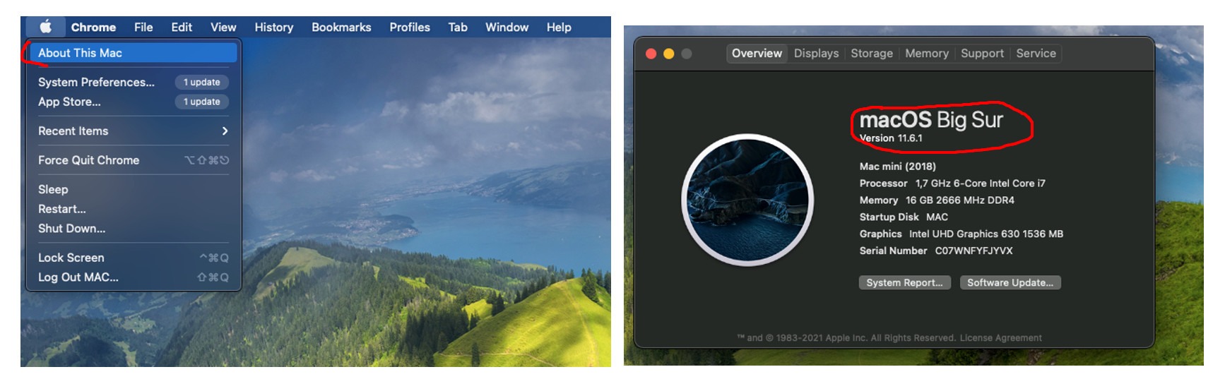 MacOS and compatibility issues. - English lover MacOS and compatibility issues. - English lover