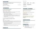 Professional Python Developer Resume Examples Guide For 2021