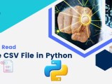 How To Read Large Csv File In Python