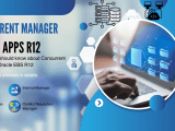 Concurrent Program In Oracle Apps R12 The Ultimate Guide