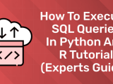 How To Execute Sql Queries In Python And R Tutorial Experts Guide