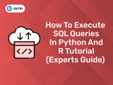 How To Execute Sql Queries In Python And R Tutorial Experts Guide