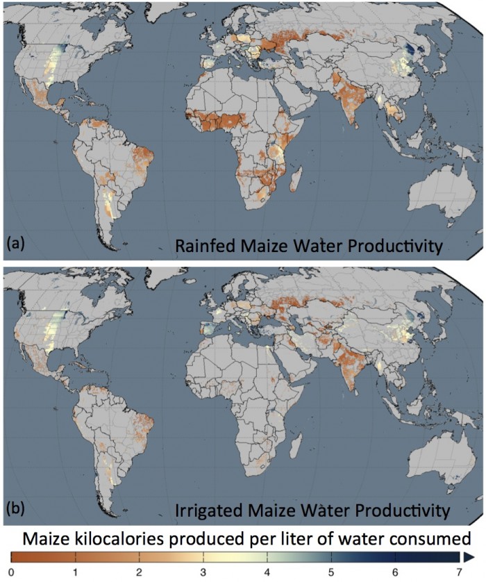The benefits of getting more "crop per drop" - Institute on the ...