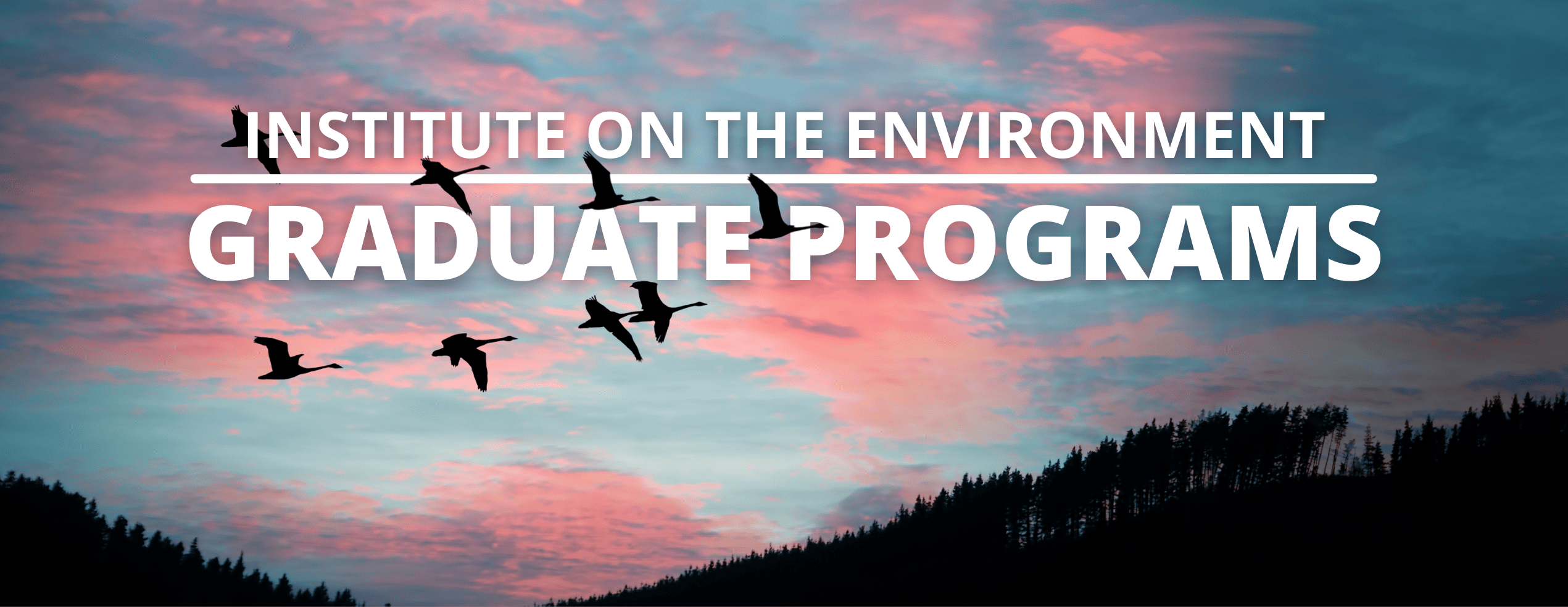 Graduate Programs - Institute on the EnvironmentInstitute on the ...