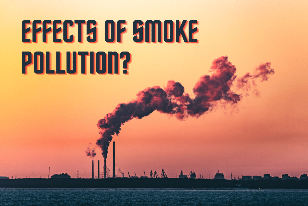 7 Environmental Effects of Smoke Pollution - Environment Go!