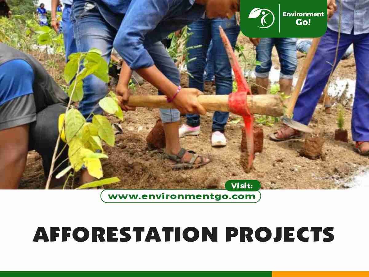 Top 25 Examples of Afforestation Projects Globally - Environment Go!