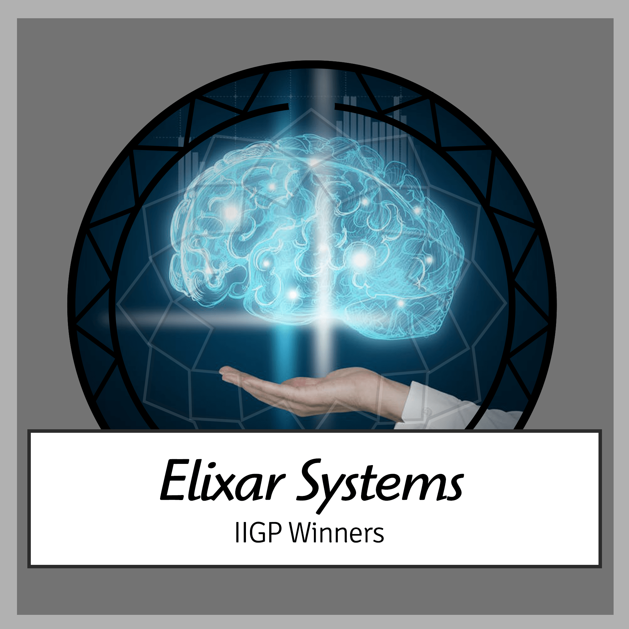 Elixar Systems – The Fine Print