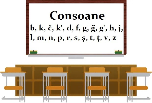Care sunt consoanele? - ePedia