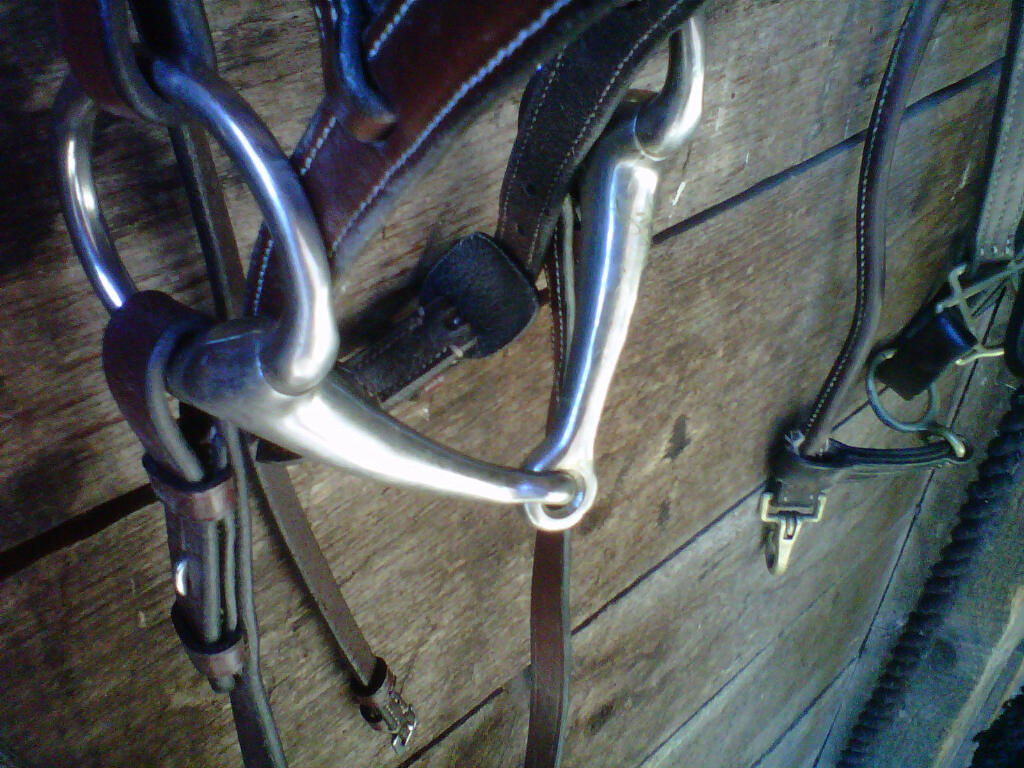 How to attach a snaffle bit to a bridle - EquestrianHow2