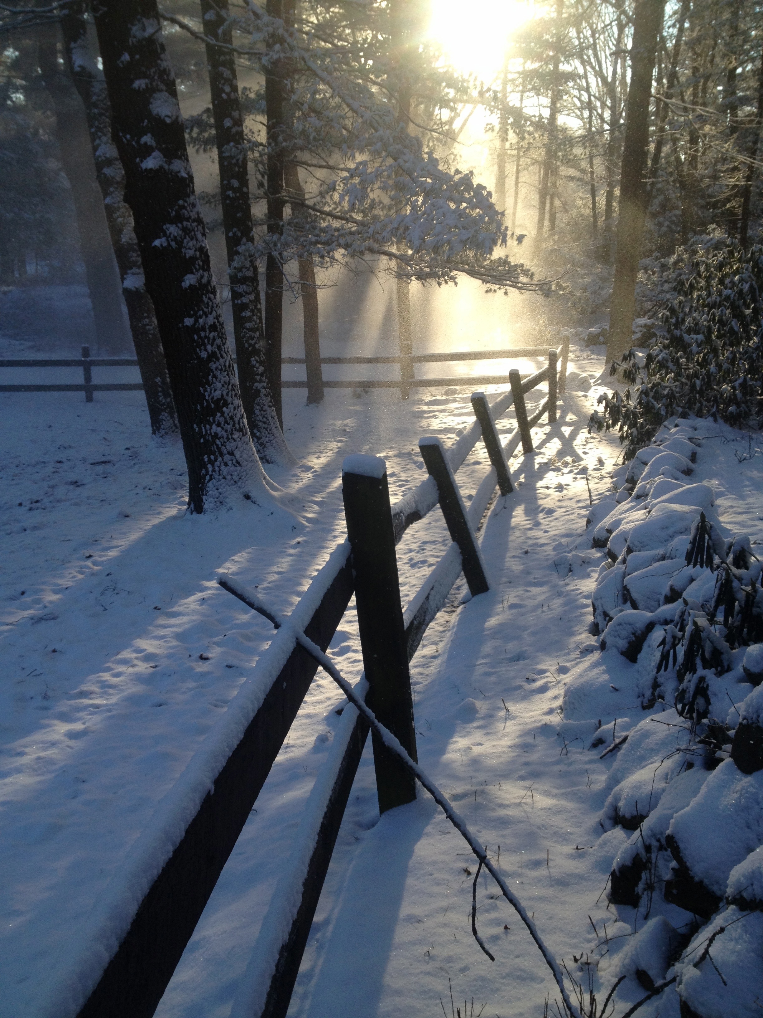 A snowy morning at the barn - EQUINE Ink