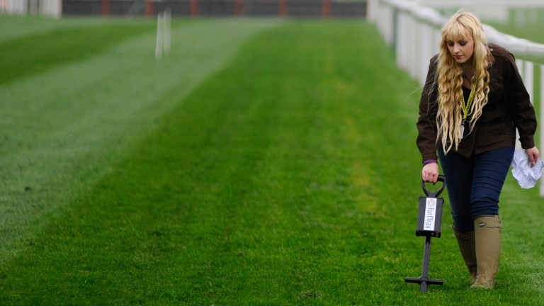 Breeders' Cup Safety Protocols - EQUINE Ink