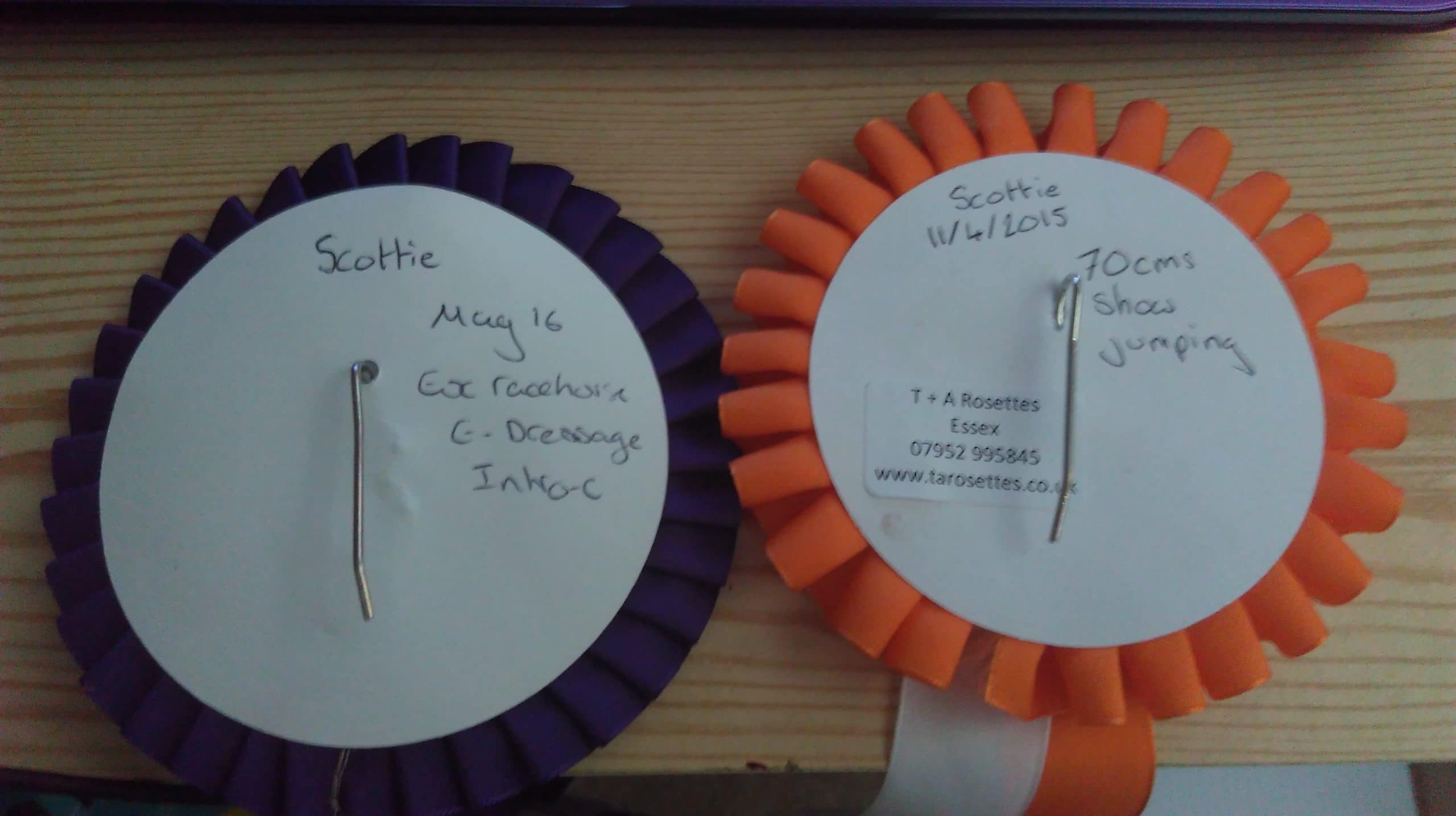 Rosettes ~ what to do with them? ~ EquiPepper