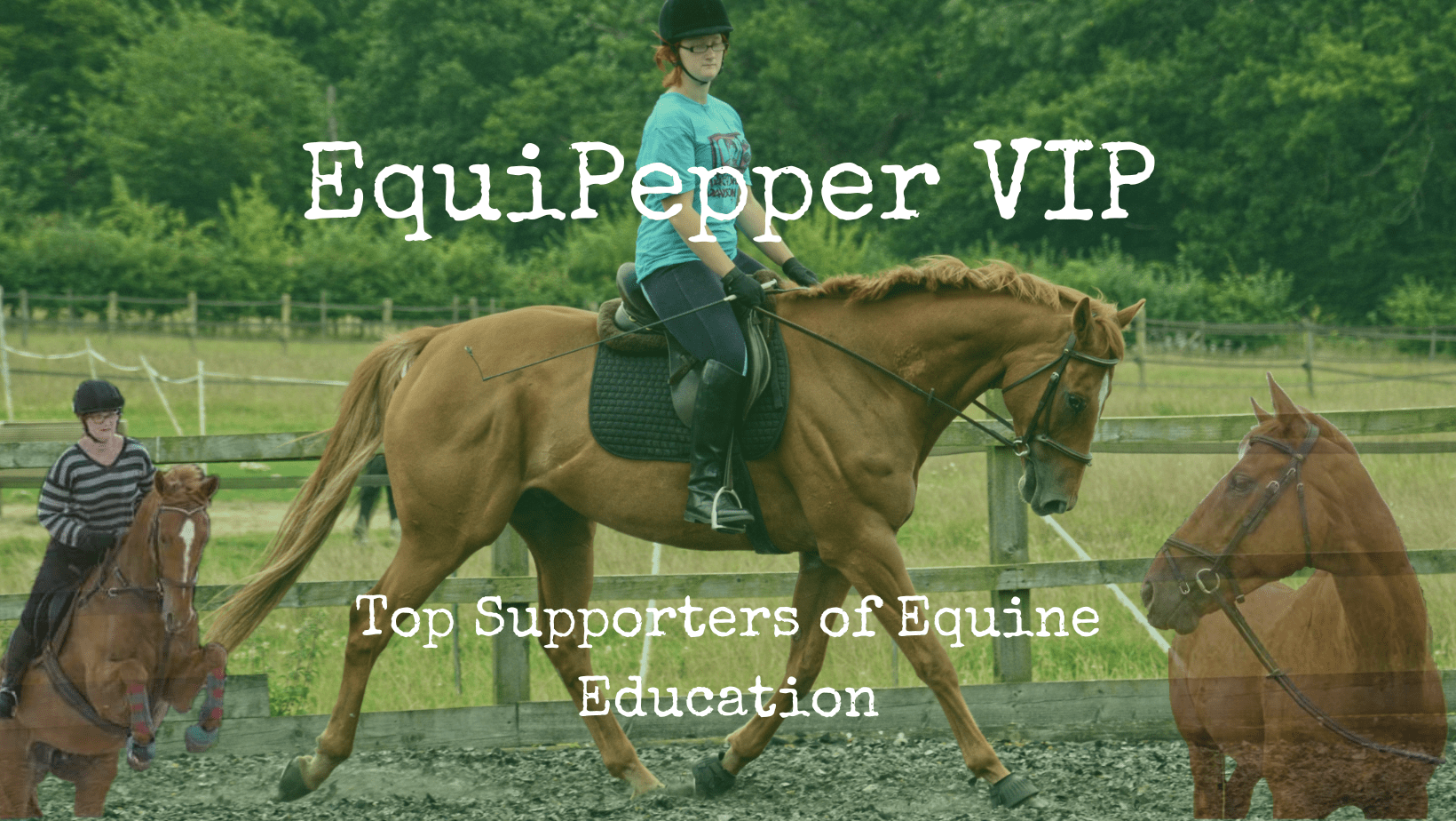EquiPepper VIP ~ EquiPepper