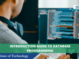 Introduction Guide To Database Programming