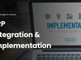 Erp Implementation Issues And Challenges Top Problems Expert Solutions