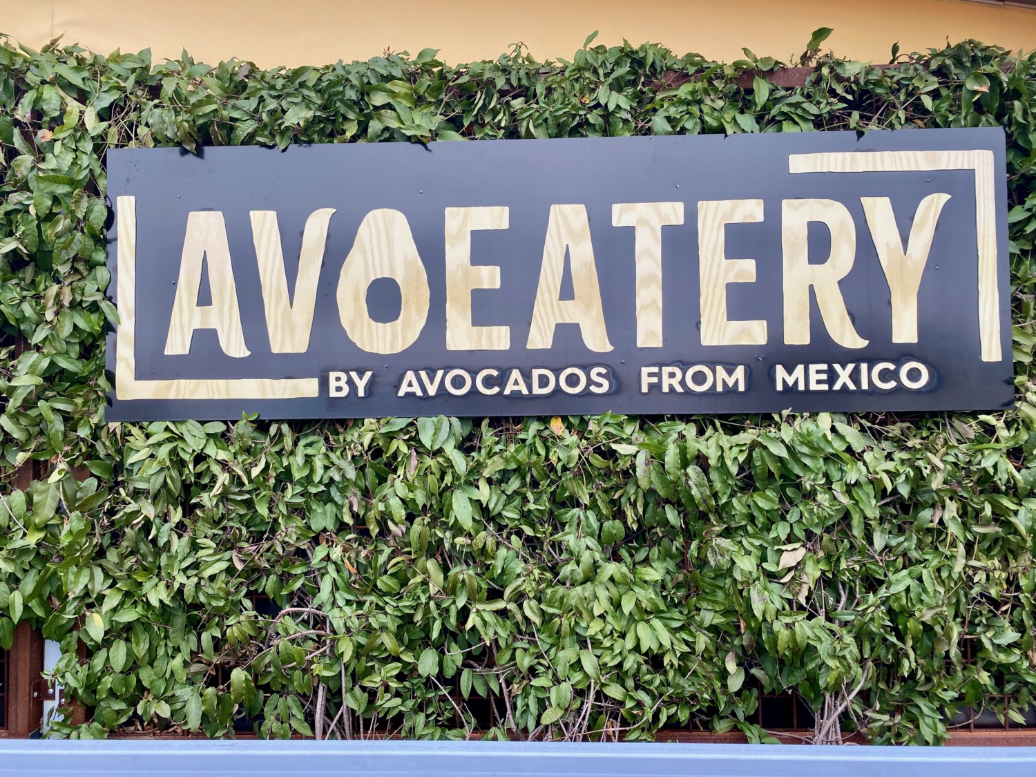 New Dallas restaurant AvoEatery makes everything with avocados ...