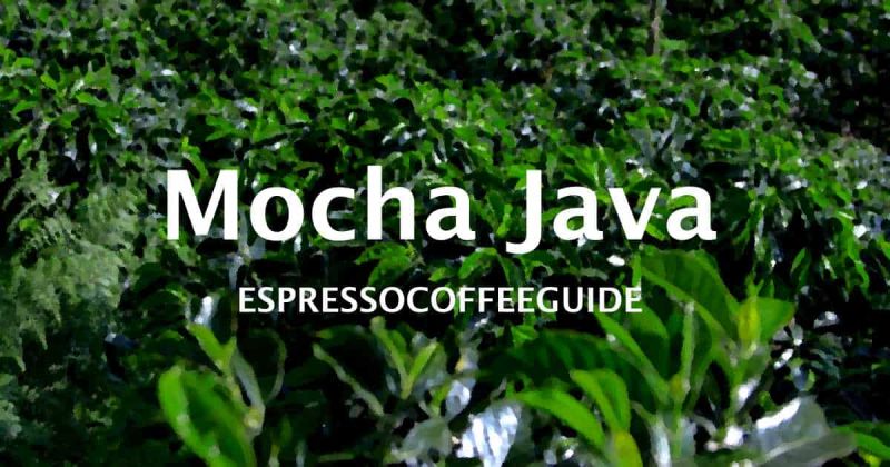 What Is Java Coffee Coffees Guide - Download Stunning Sunset Photo | Full HD