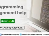Programming Assignment Help At Affordable Price With Quality Content