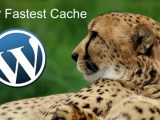Wp Fastest Cache Essential Plugins