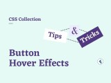 10 Css Button Hover Effects Latest Collection Essential Web Apps