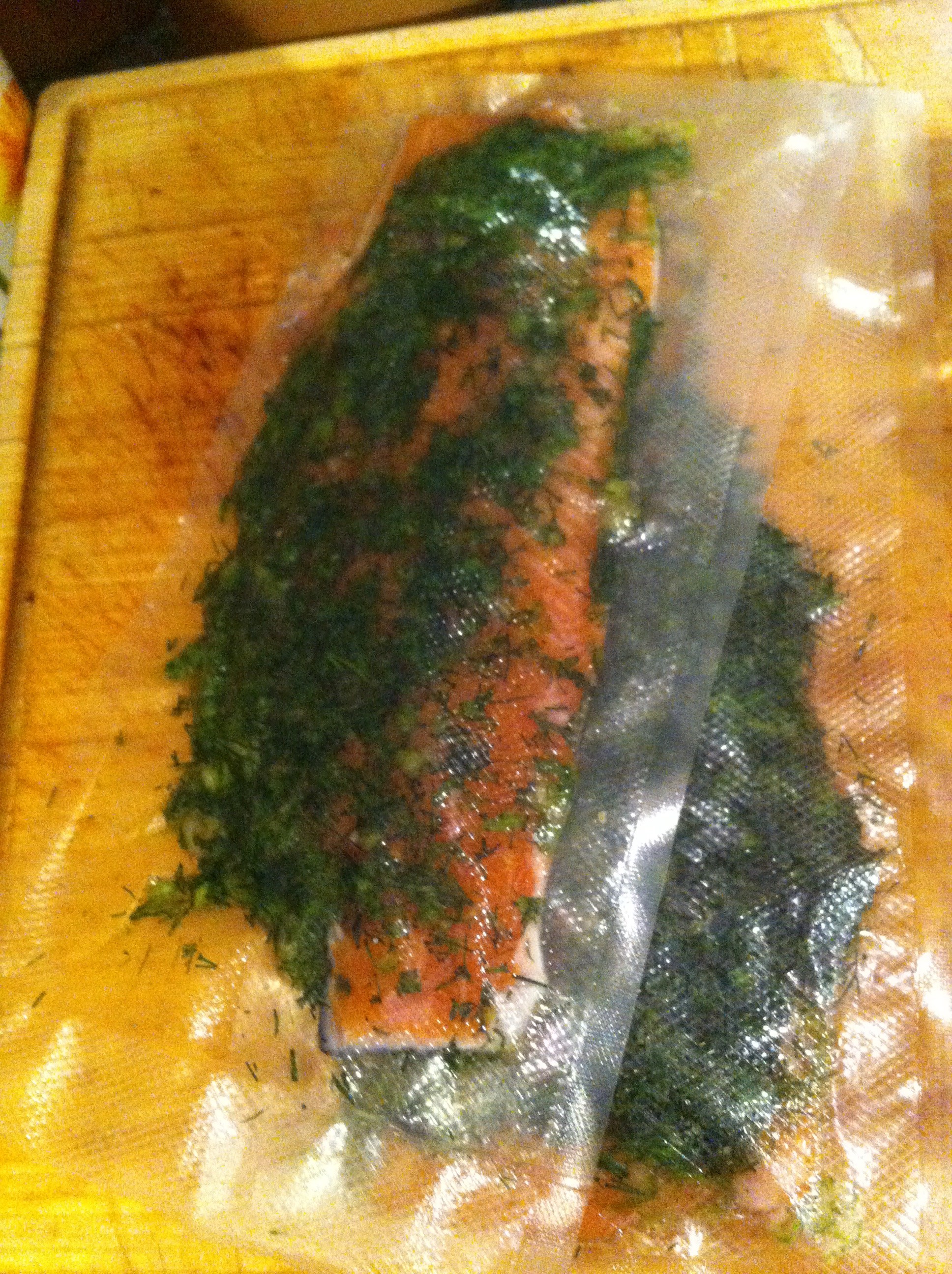 Graved Lax – Forelle – Essen & Genuss