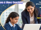 Icse Java Bluej Coaching For Class 9 And 10 Students
