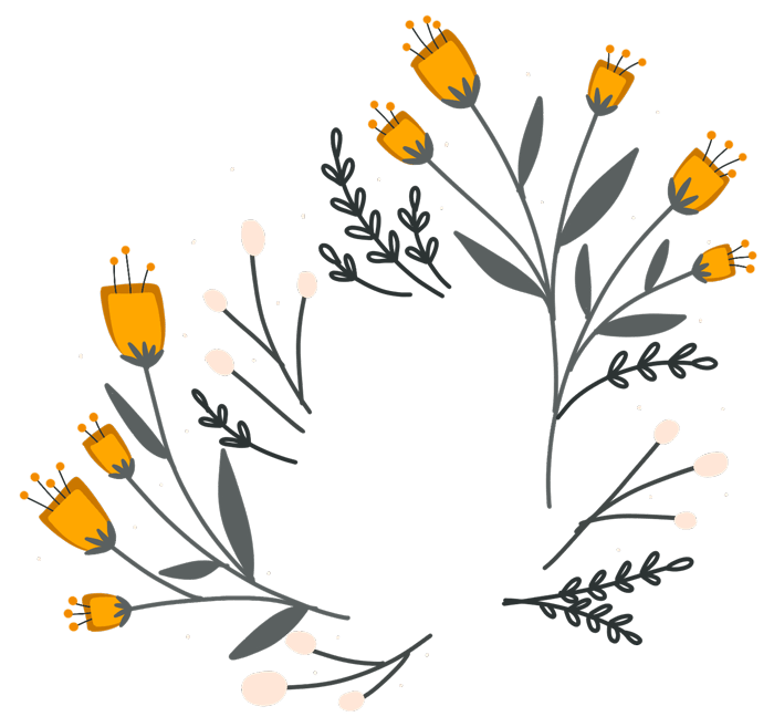 Procreate For Beginners Every Tuesday Courses