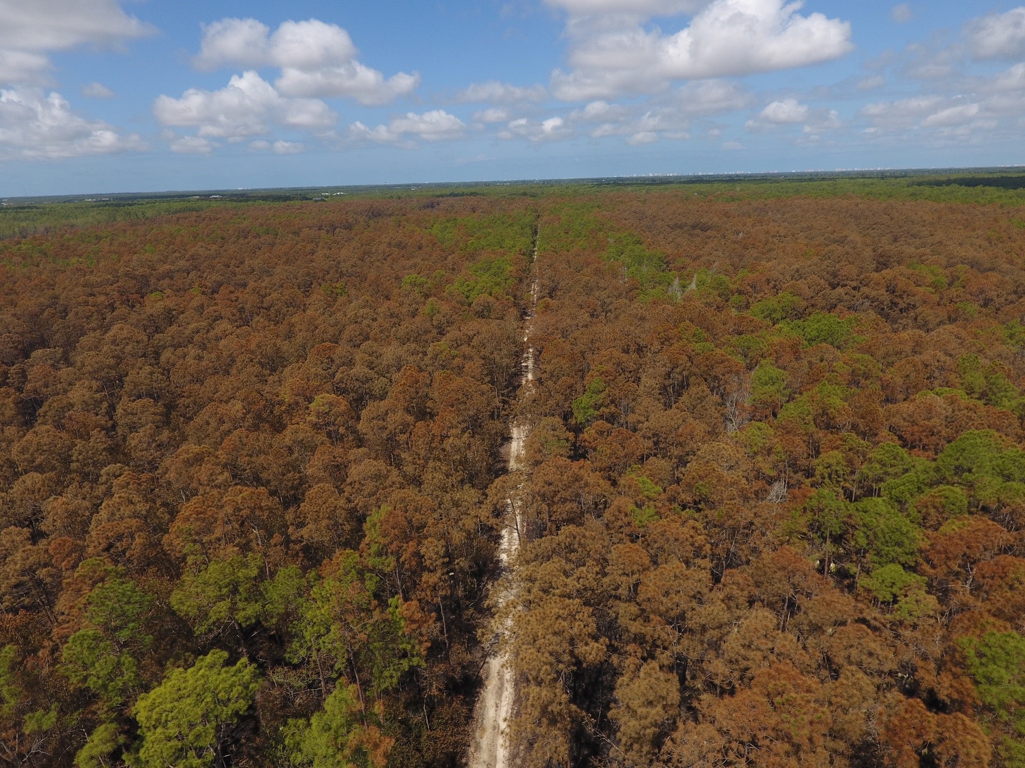 Collier County Wildfire Assessment - Earth Tech Environmental