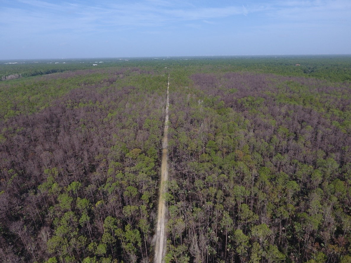 Collier County Wildfire Assessment - Earth Tech Environmental