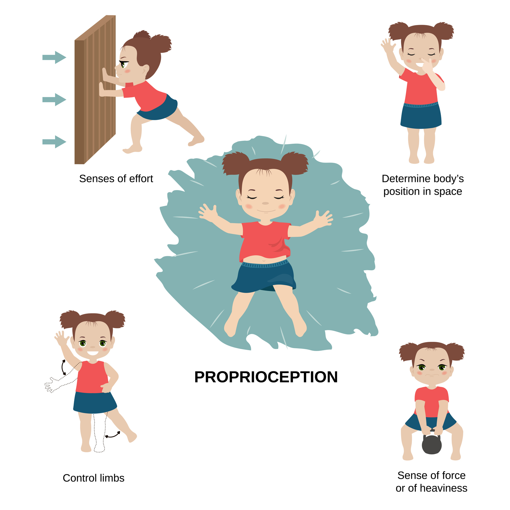 How Does Proprioception Work? - Ethical Inc