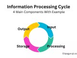 Data Processing Cycle