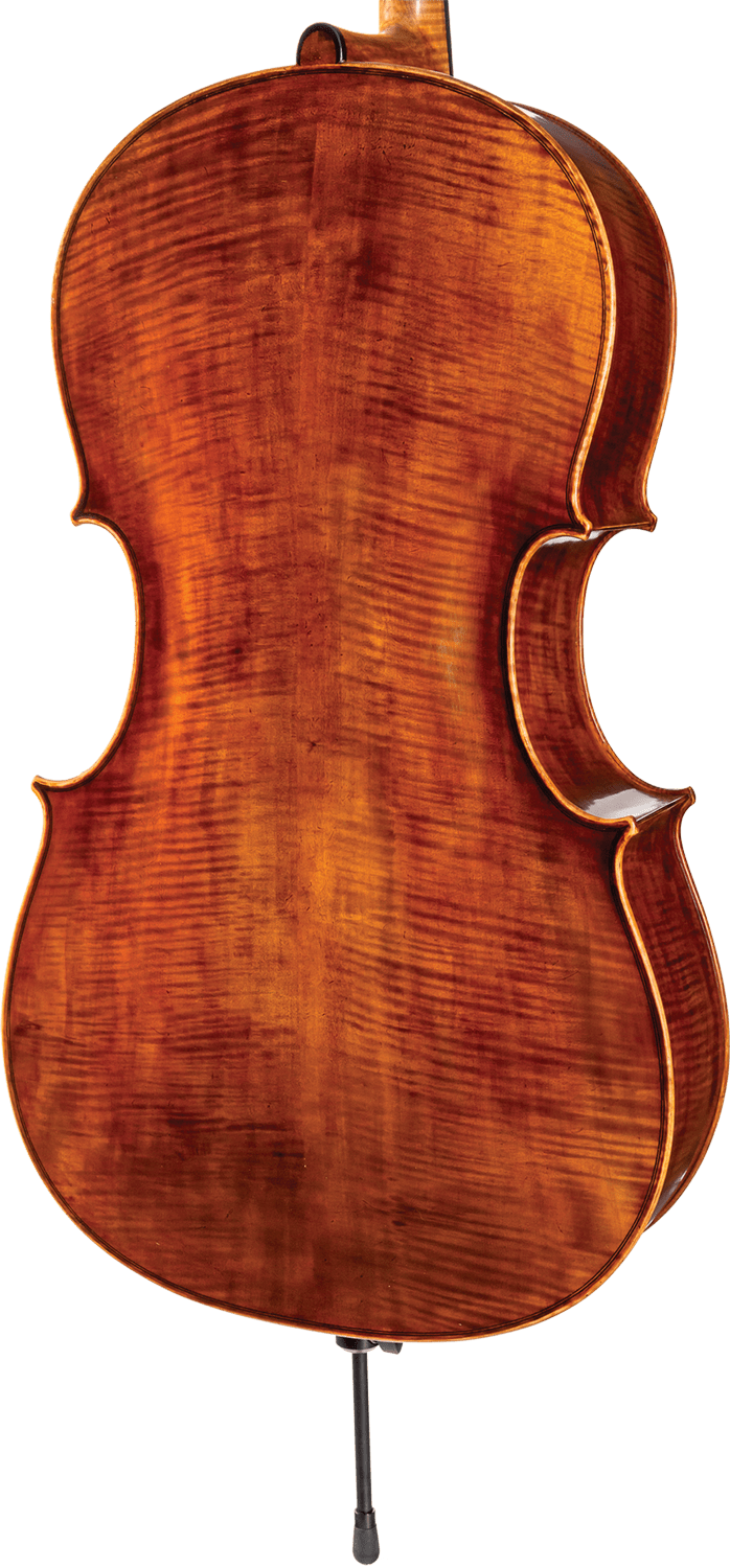Core Select Stainer Model 4/4 Cello | Evergreen Workshop