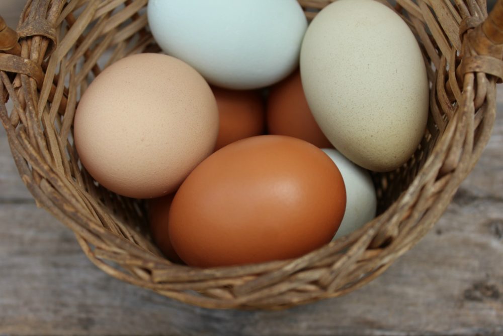 Eggshells – Ever Growing Farm